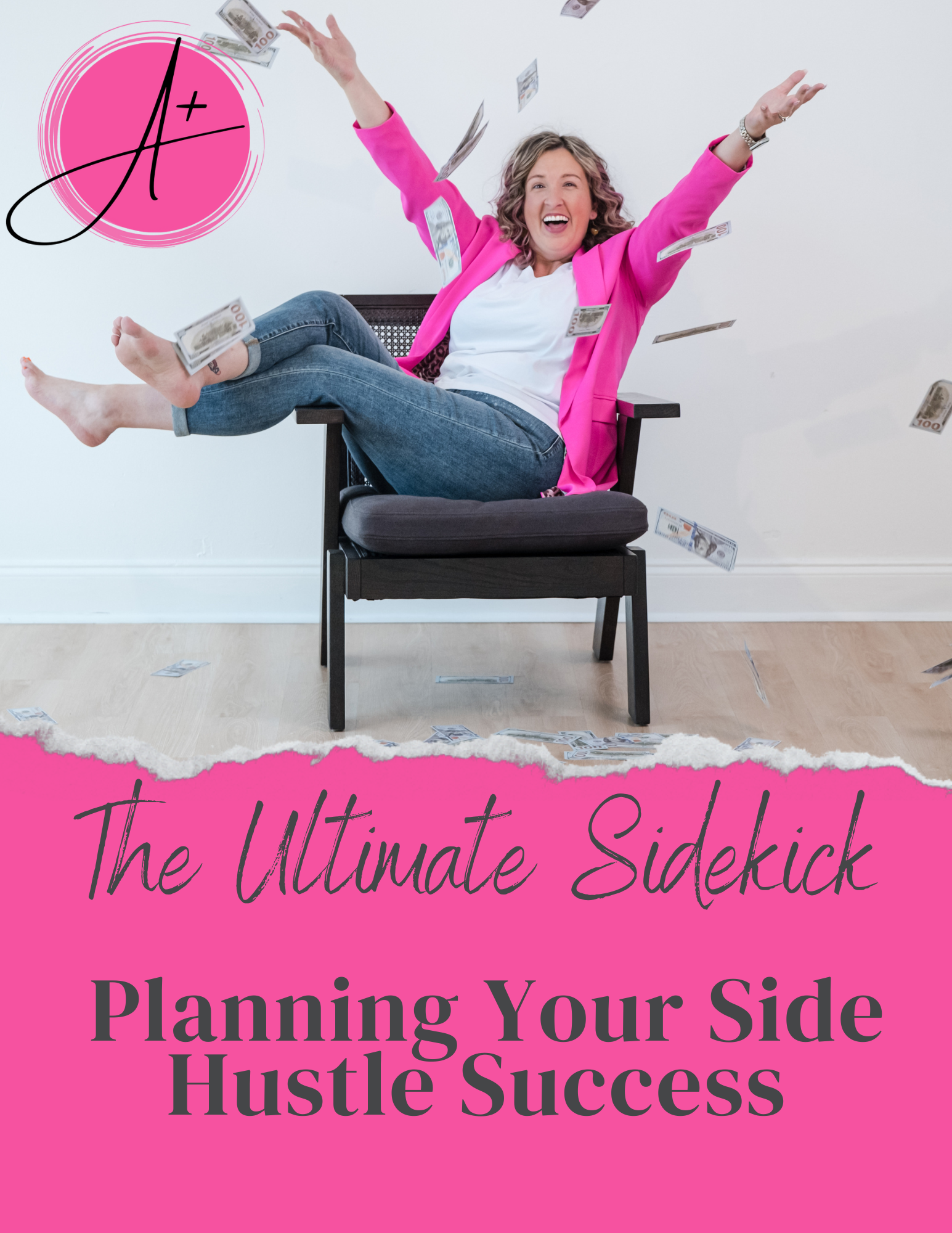 The Ultimate Sidekick - A PLUS SOLUTIONS